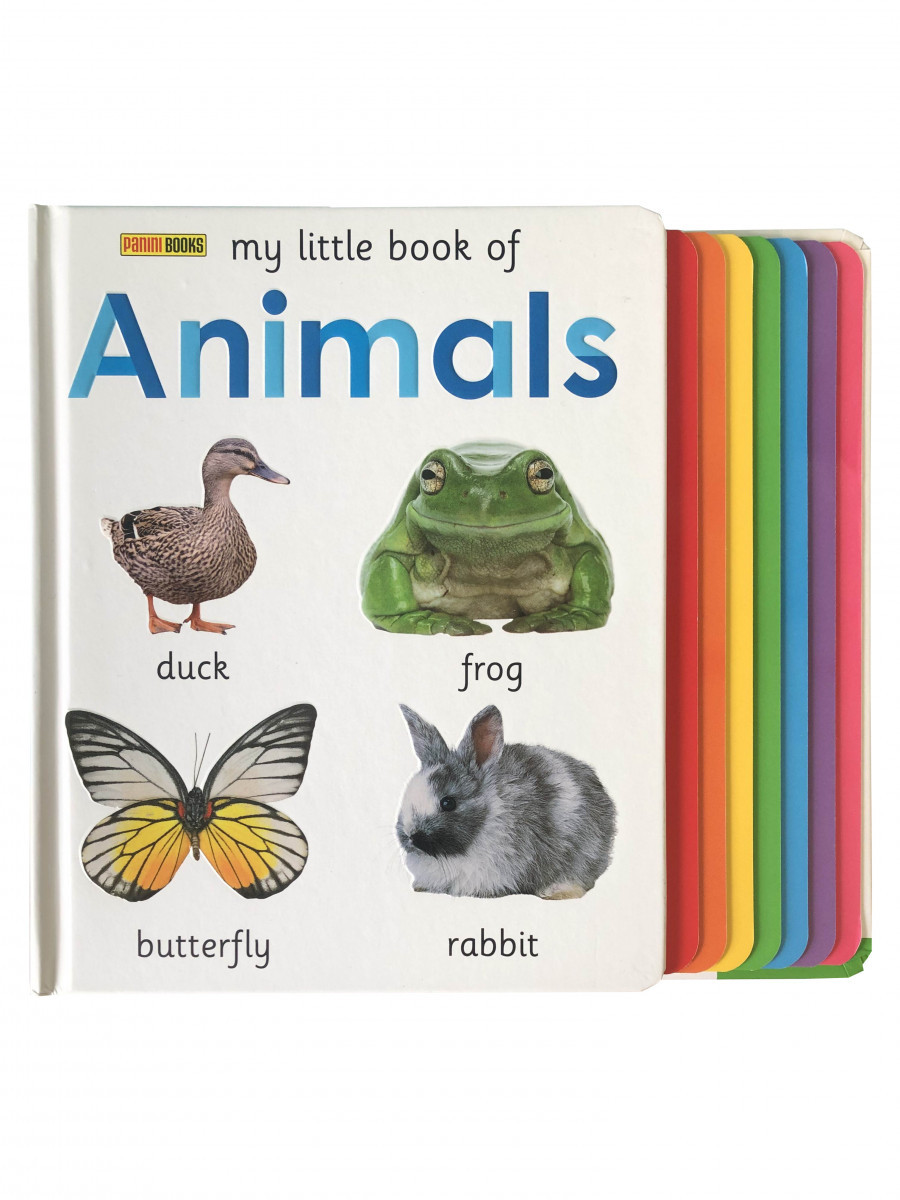 Livro - My Little Book of Animals | Loja da Criança